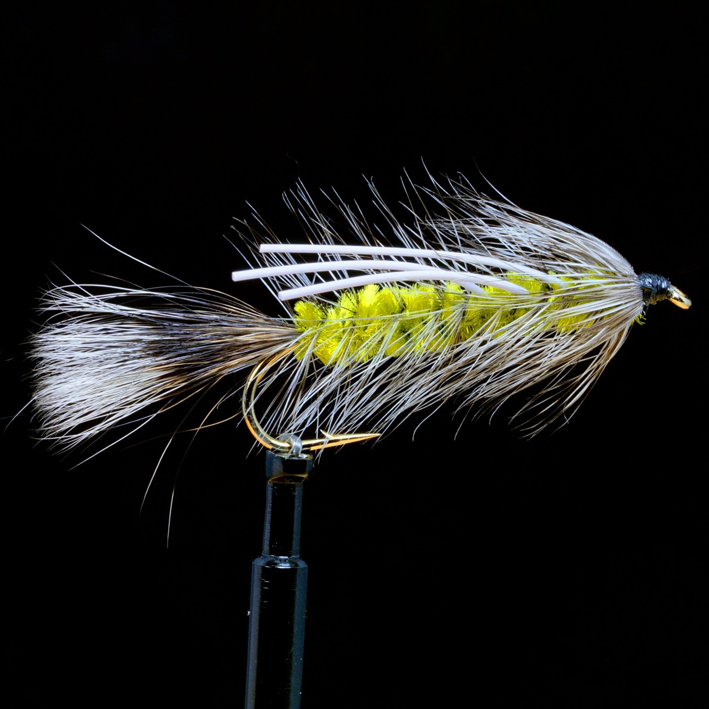 Yuk Bug Olive